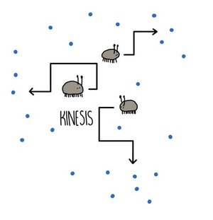 Responding to Stimuli AQA — the science sauce