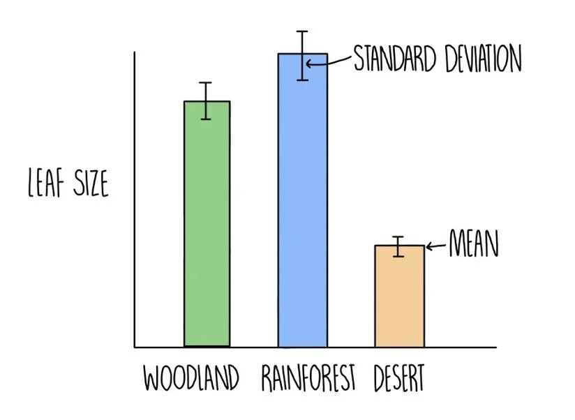 Classification and Evolution OCR — the science hive