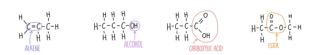 Introduction to Organic Chemistry (GCSE) — the science sauce