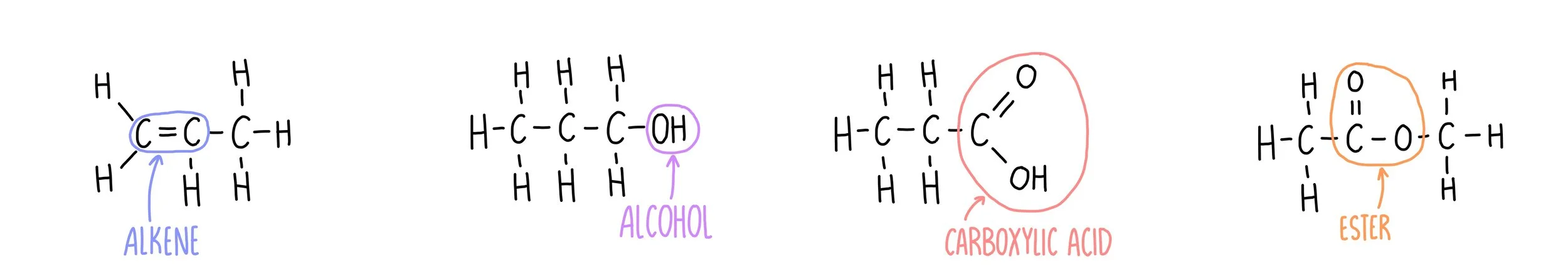 Introduction to Organic Chemistry (GCSE) — the science sauce