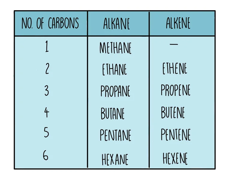 Basic Concepts of Organic Chemistry* — the science sauce