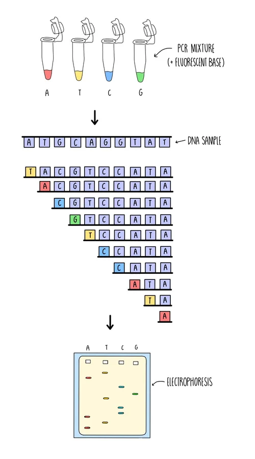 Genetic Manipulation OCR — the science sauce
