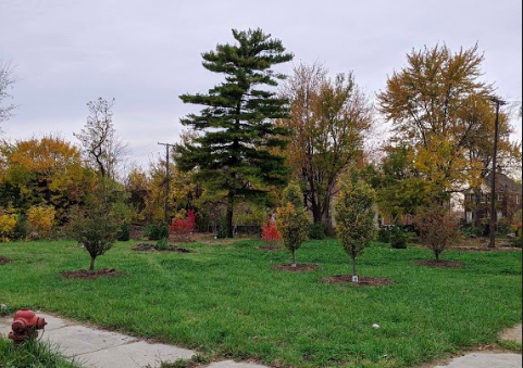 Treetroit 2 — Arboretum Detroit