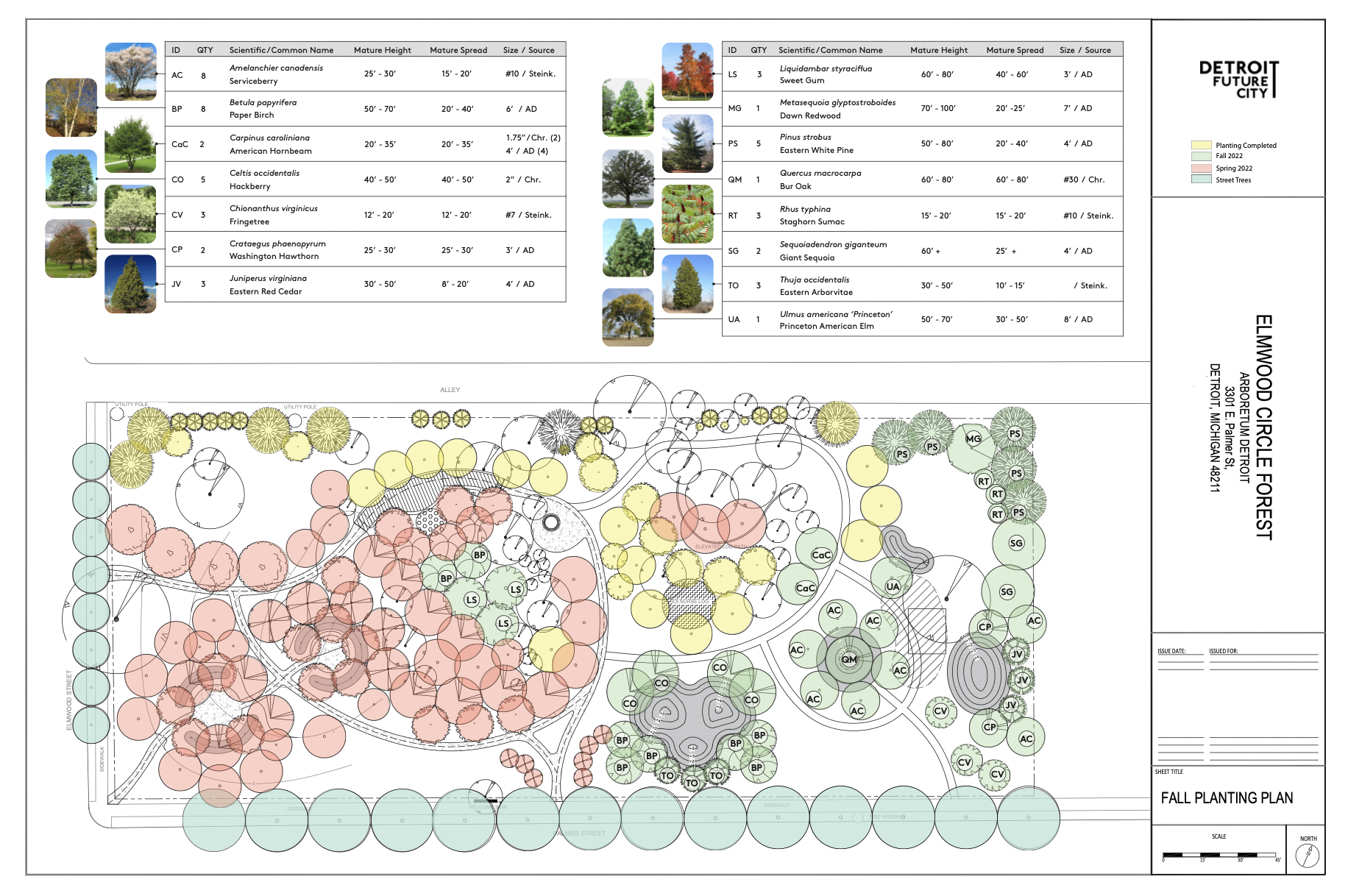 Circle Forest — Arboretum Detroit