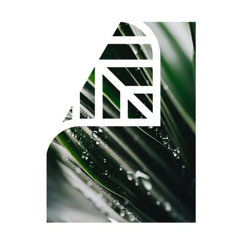 New Leaf Print & Publishing Products — New Leaf Paper