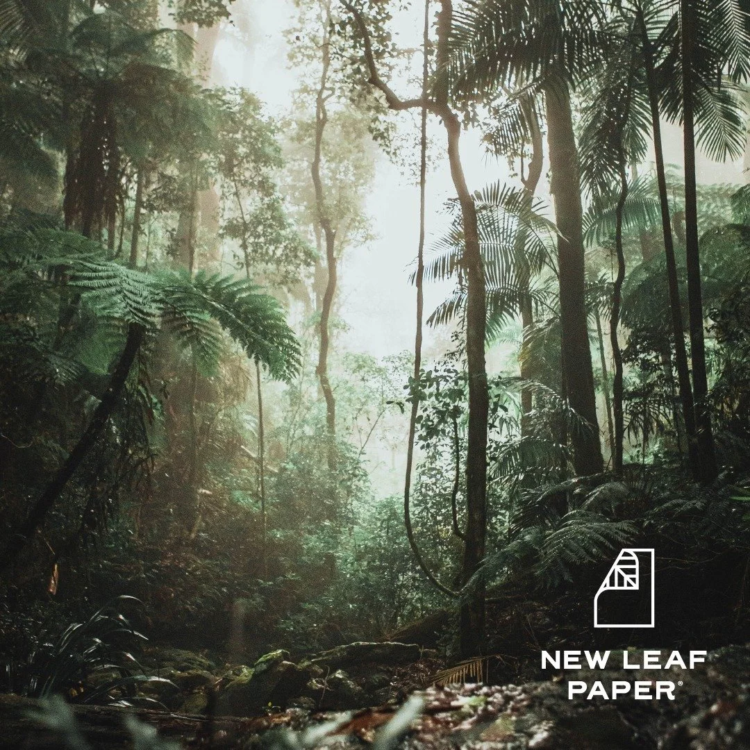 New Leaf Paper