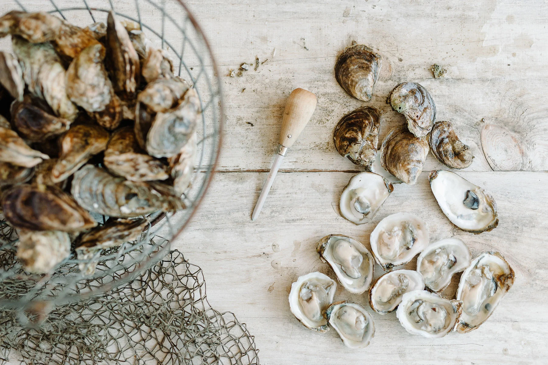 BLU Point Seafood Co