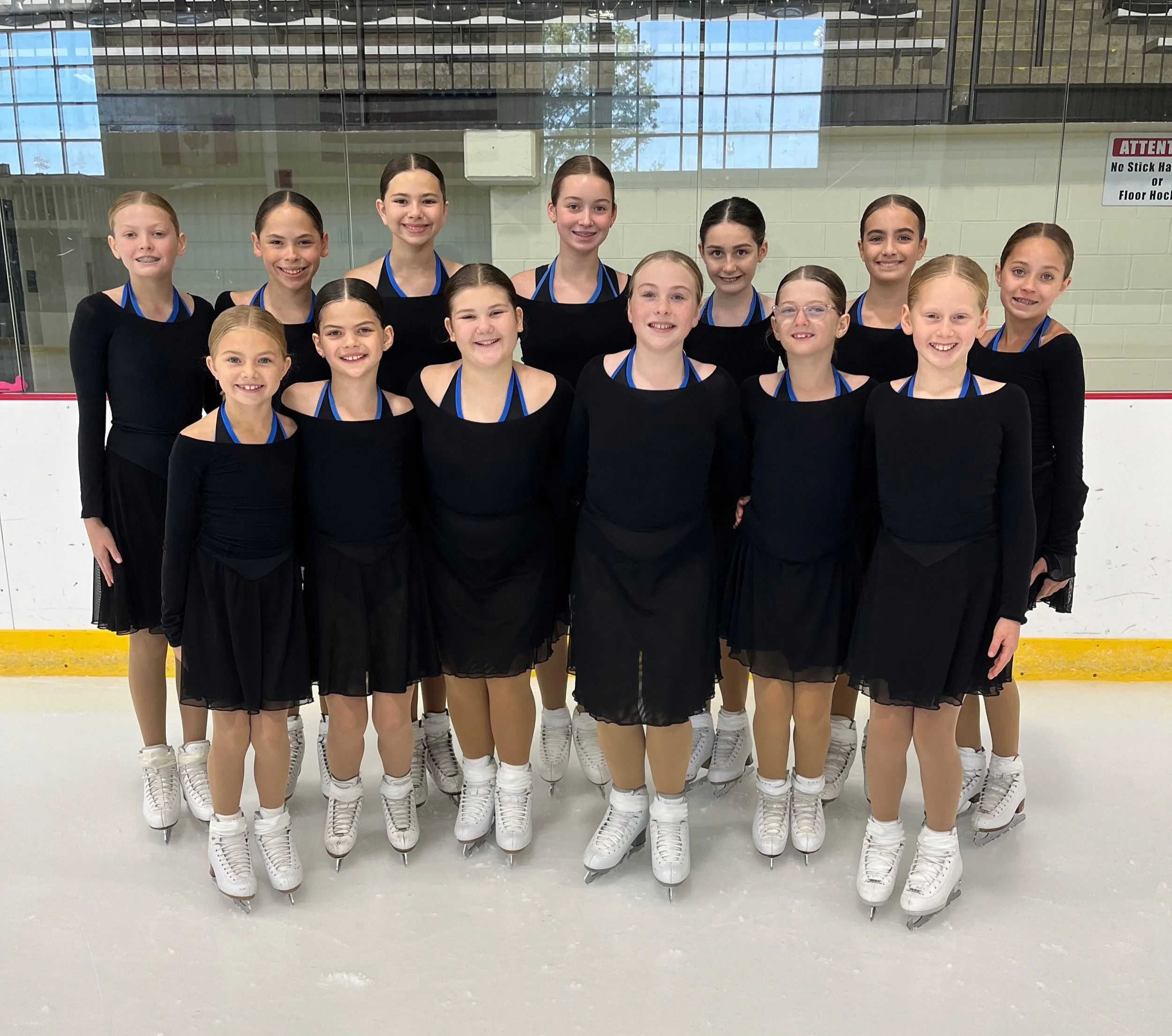 Saint Louis Synergy Preliminary Team — MEFSC
