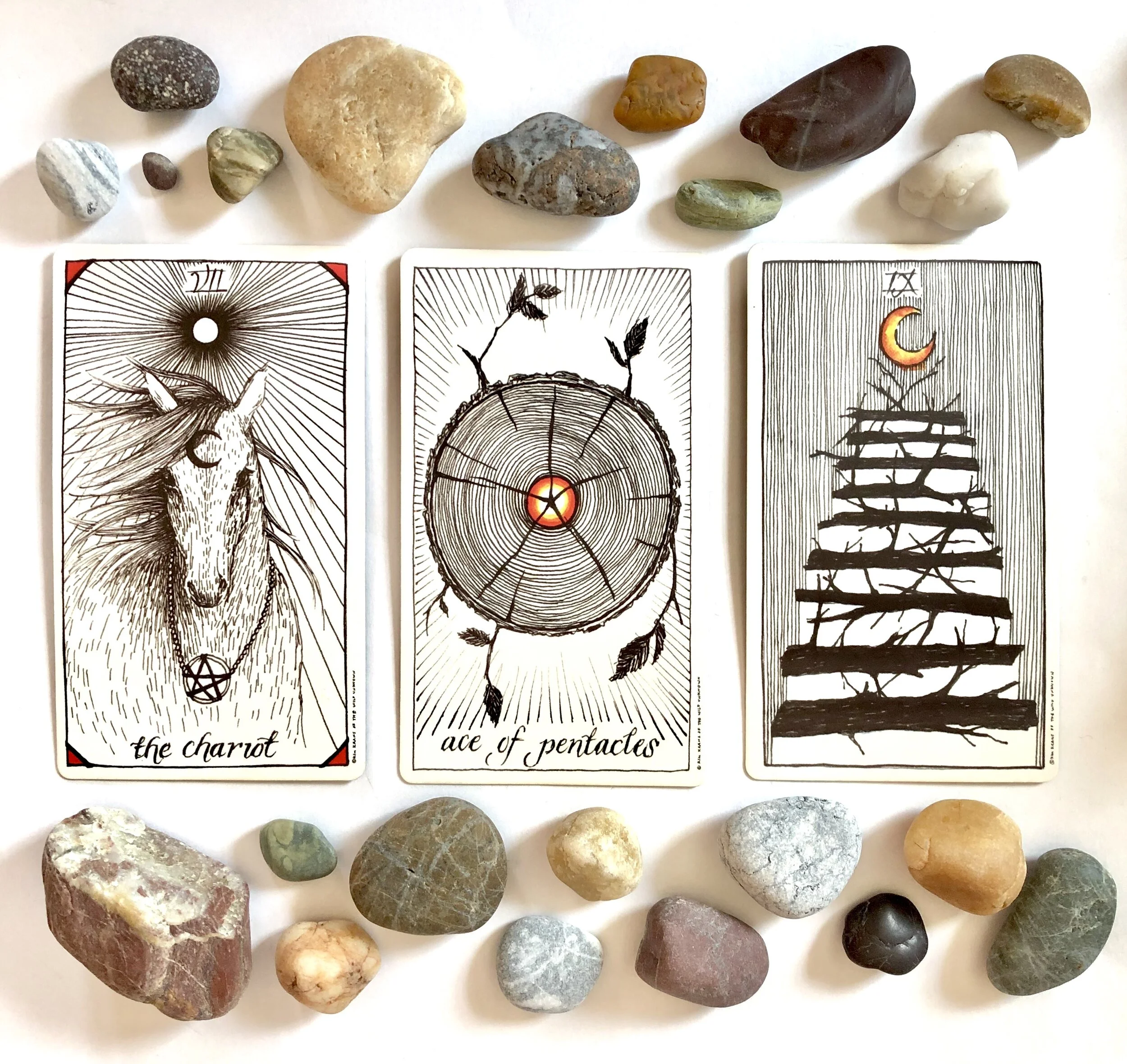 Tarot Card Meanings — The Willow Path Tarot