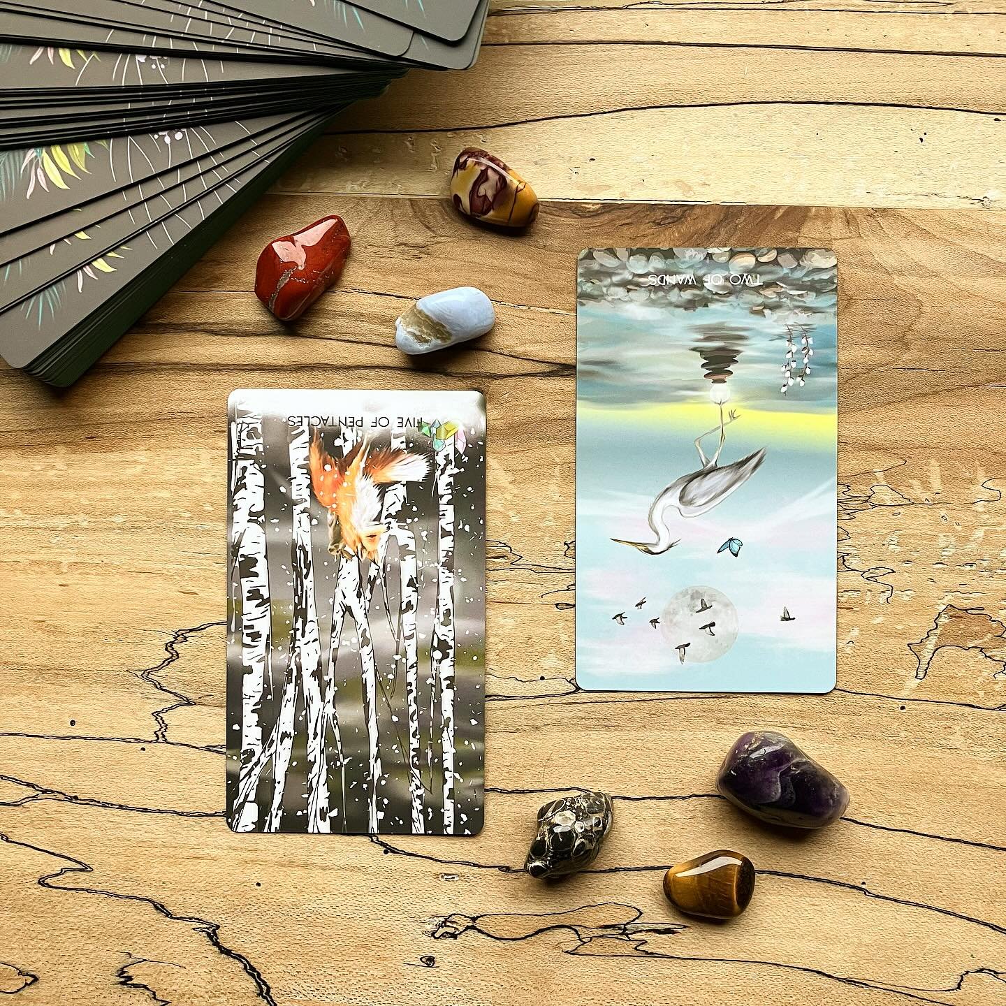 The Willow Path Tarot
