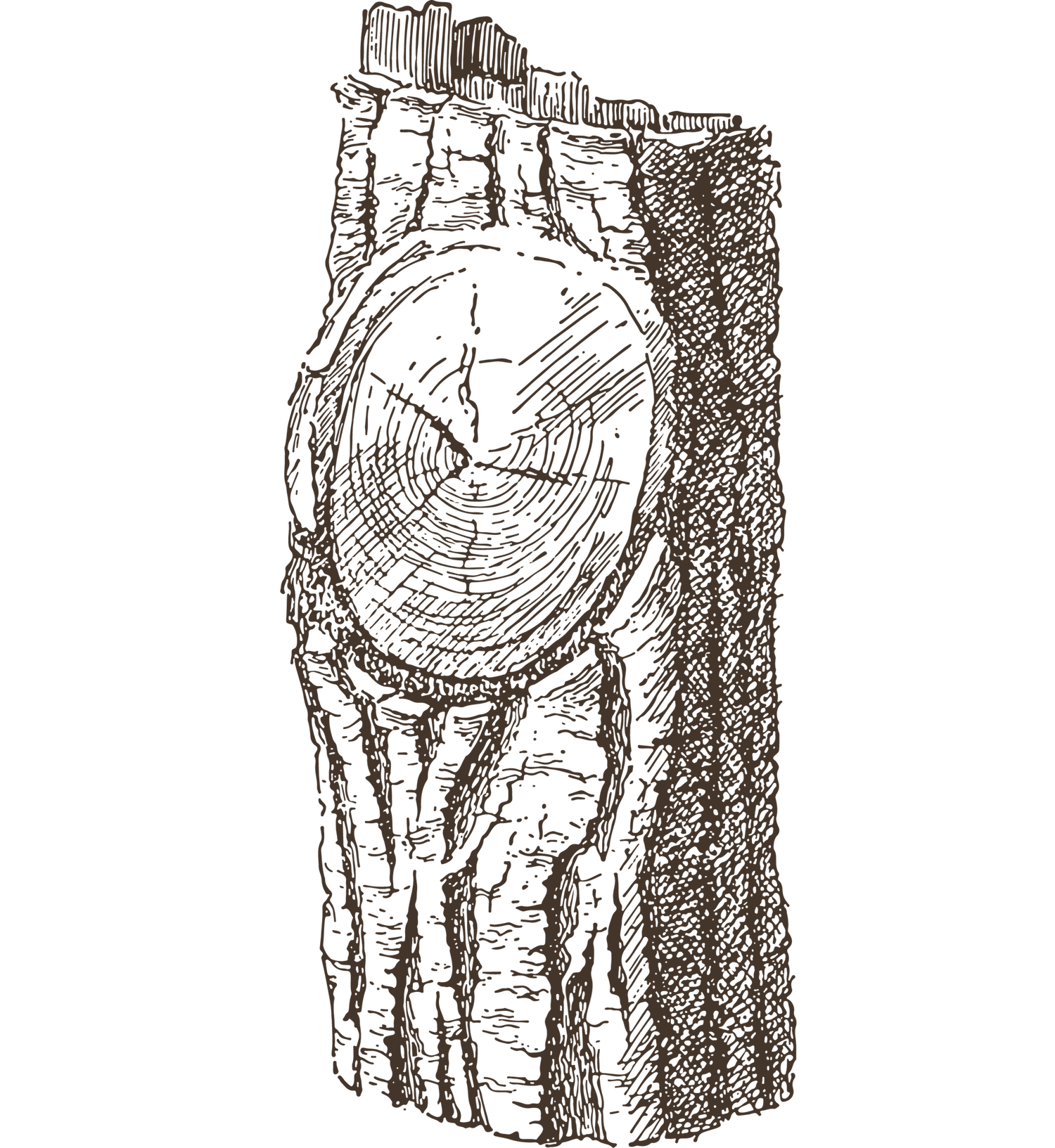 The Boulder Apple Tree Project | Rediscovering the past, together