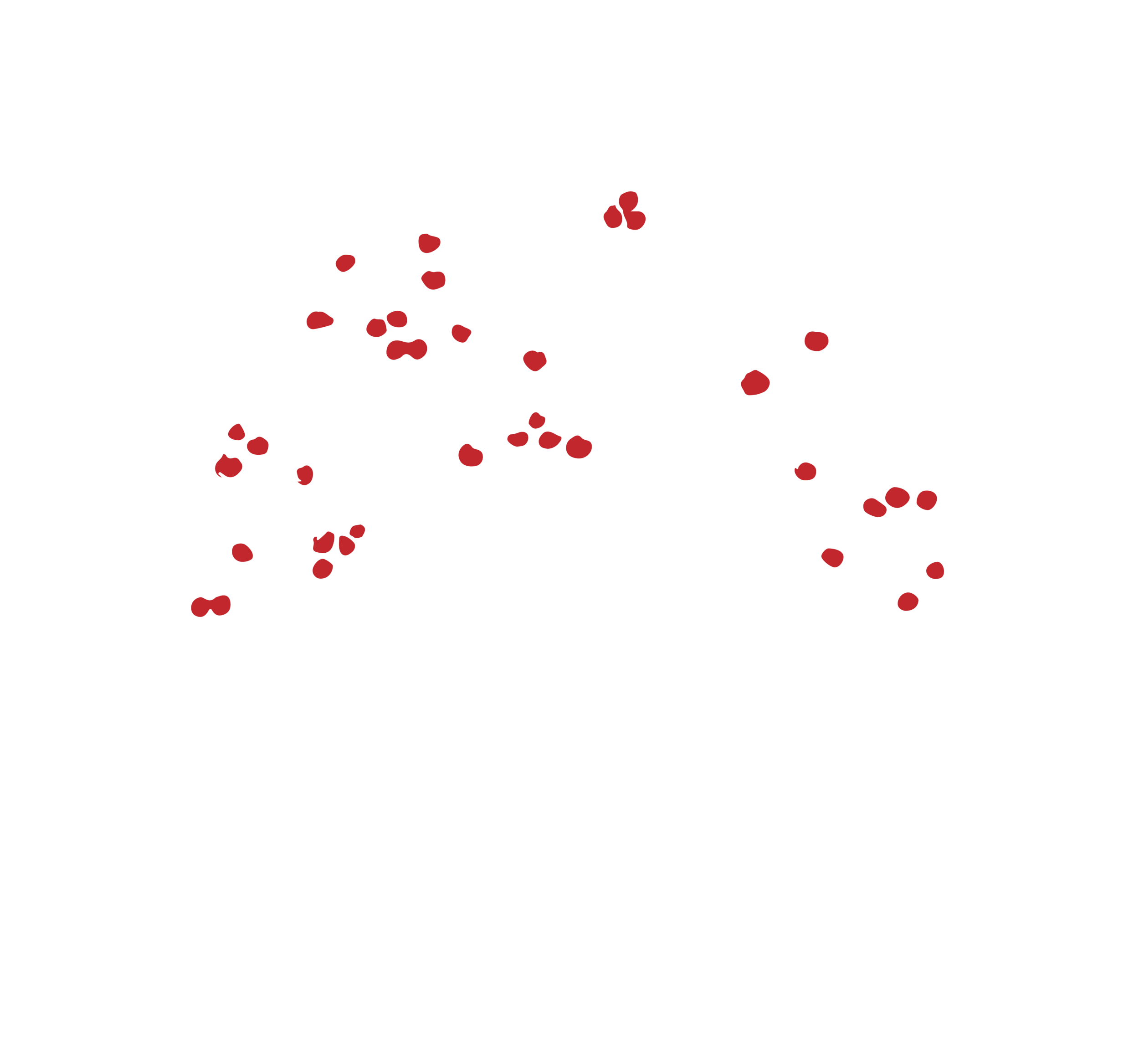 The Boulder Apple Tree Project | Rediscovering the past, together