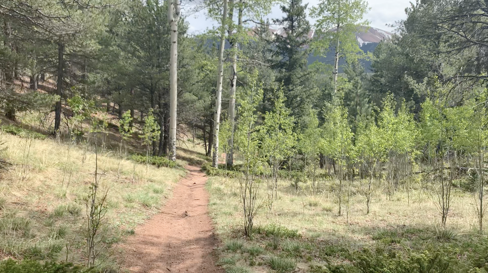 Horsethief Falls Guided Hike — Hike for Life | Colorado