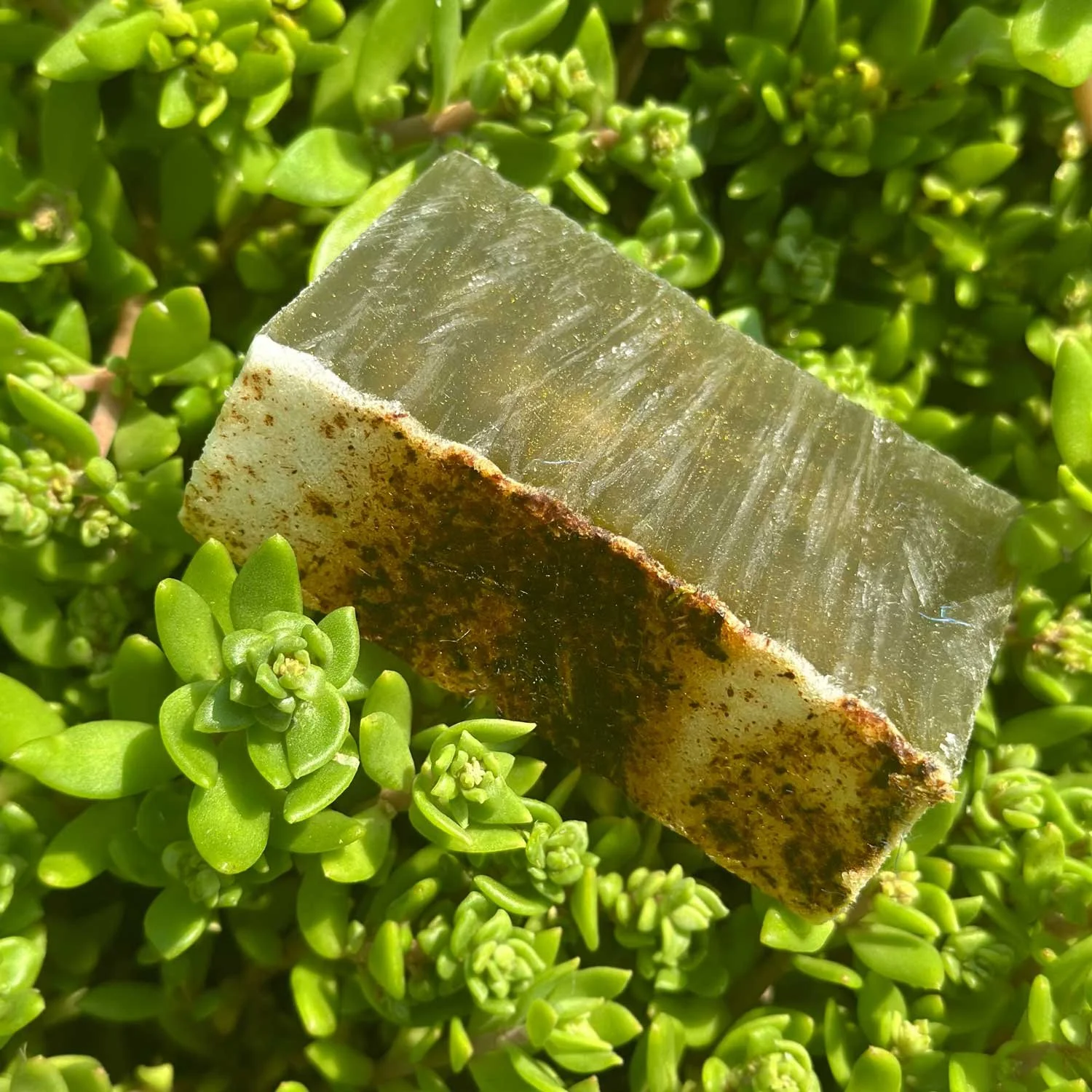 Bath and Body | Old Cedar Native Arts