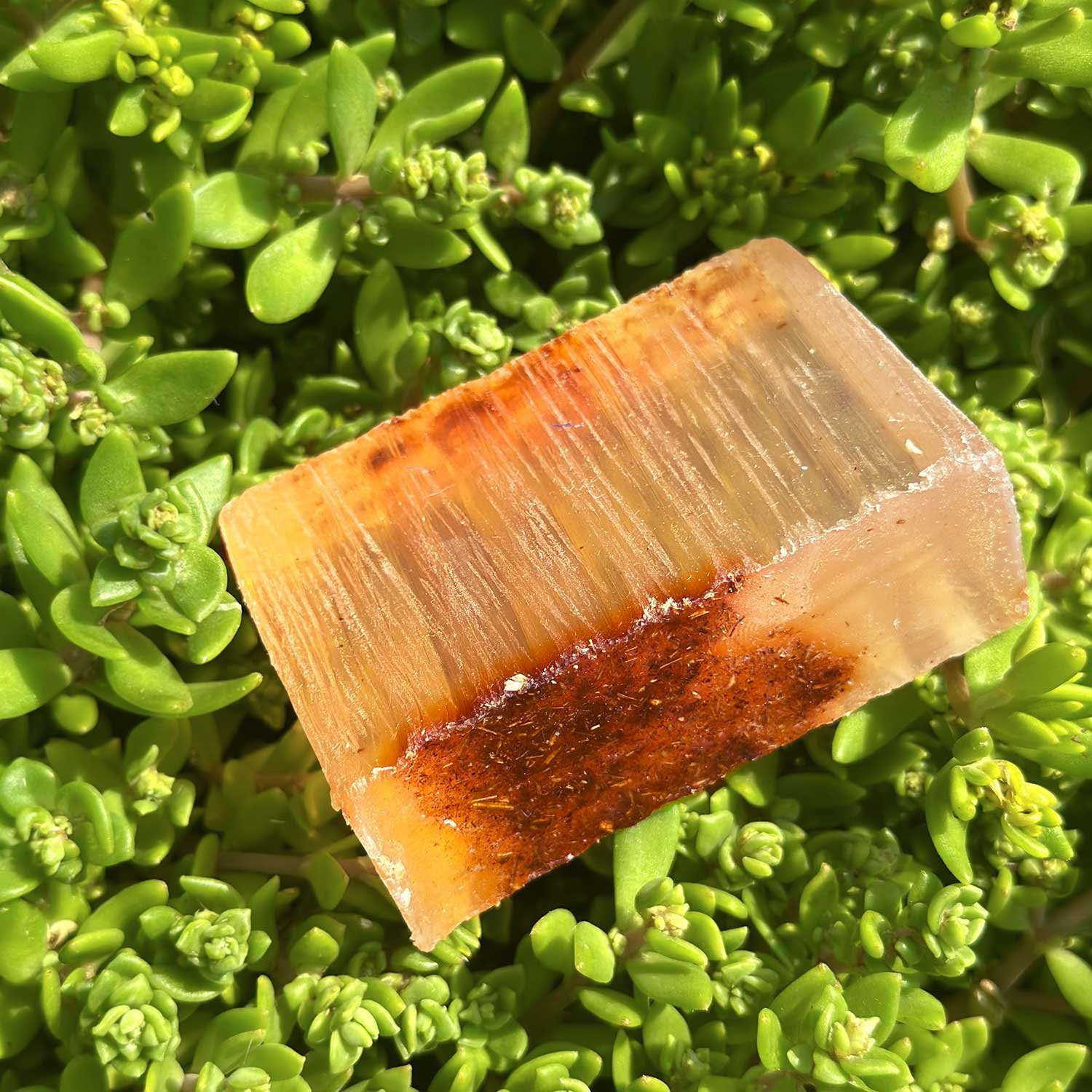 Bath and Body | Old Cedar Native Arts