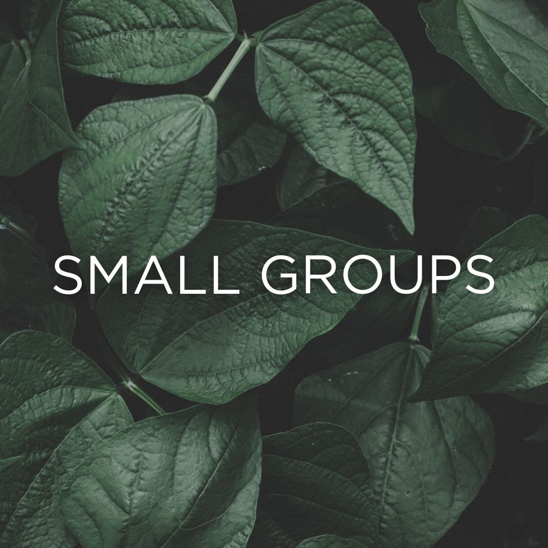 Groups — FPC