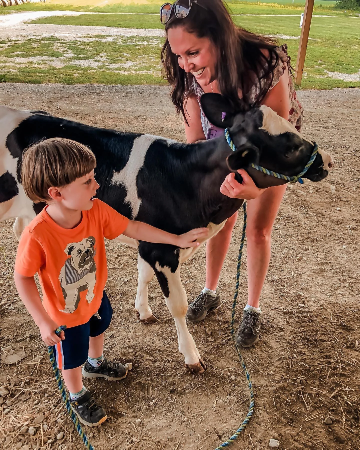 Dairy Discovery Camp — Sunset View Creamery
