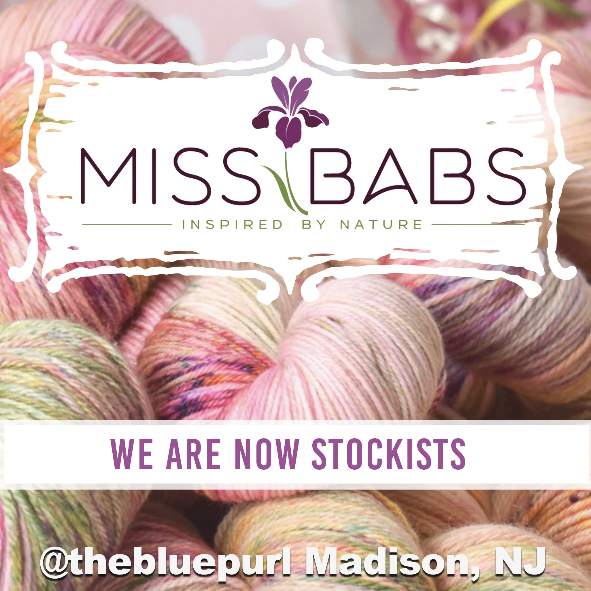 The Blue Purl - Yarn and Knitting Shop