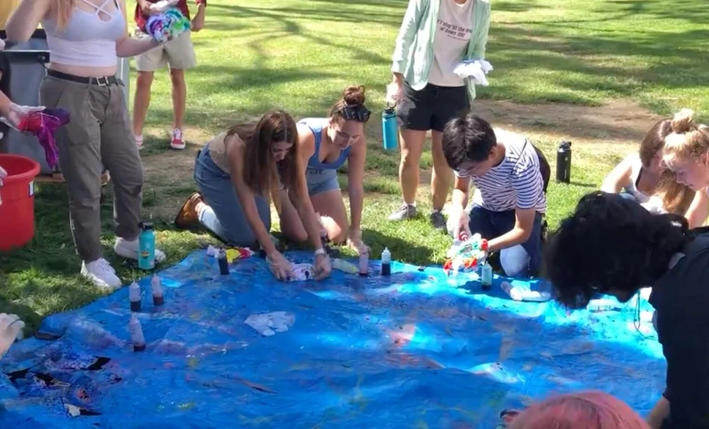 Ucsb Party