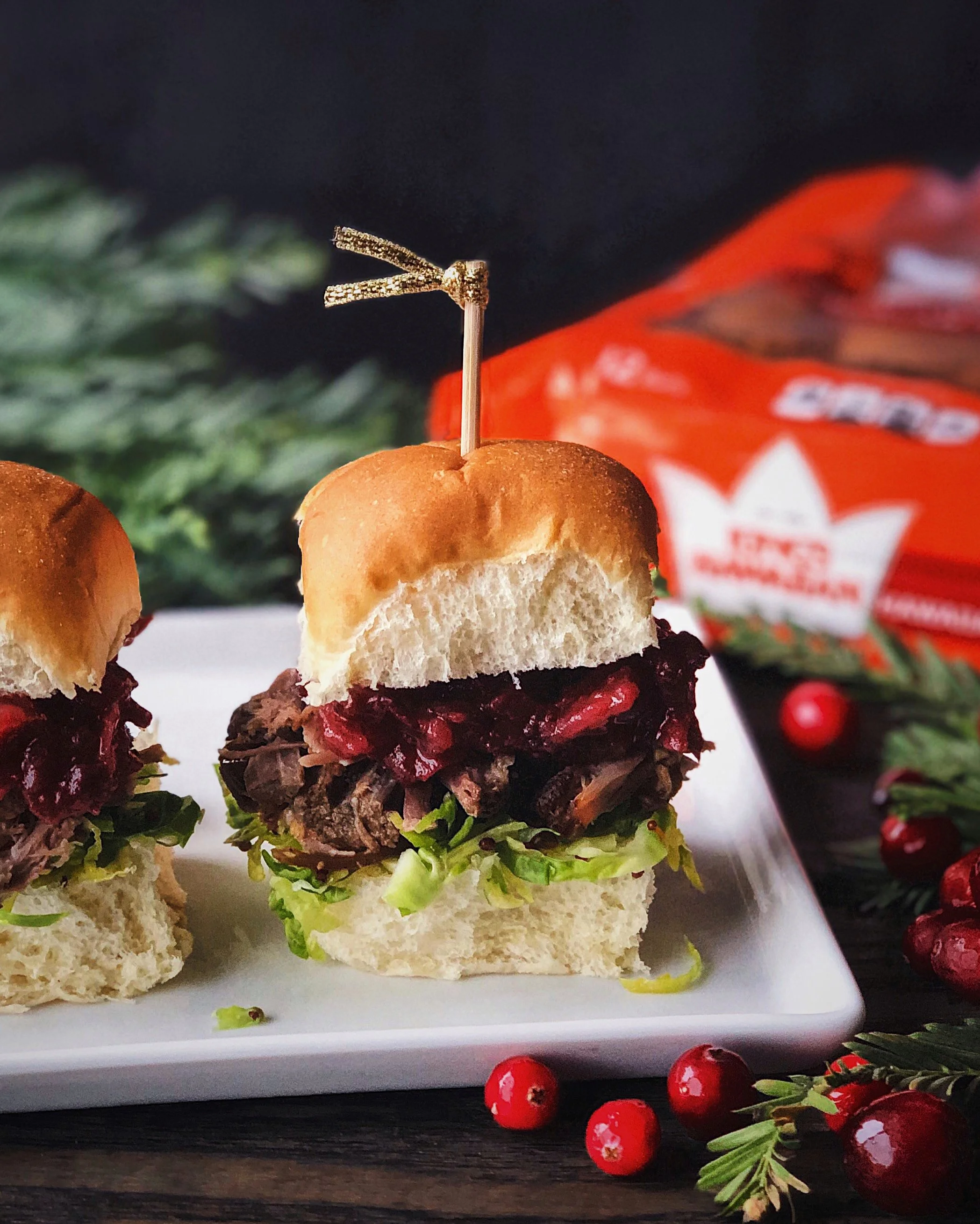 Photography — Lily Morello