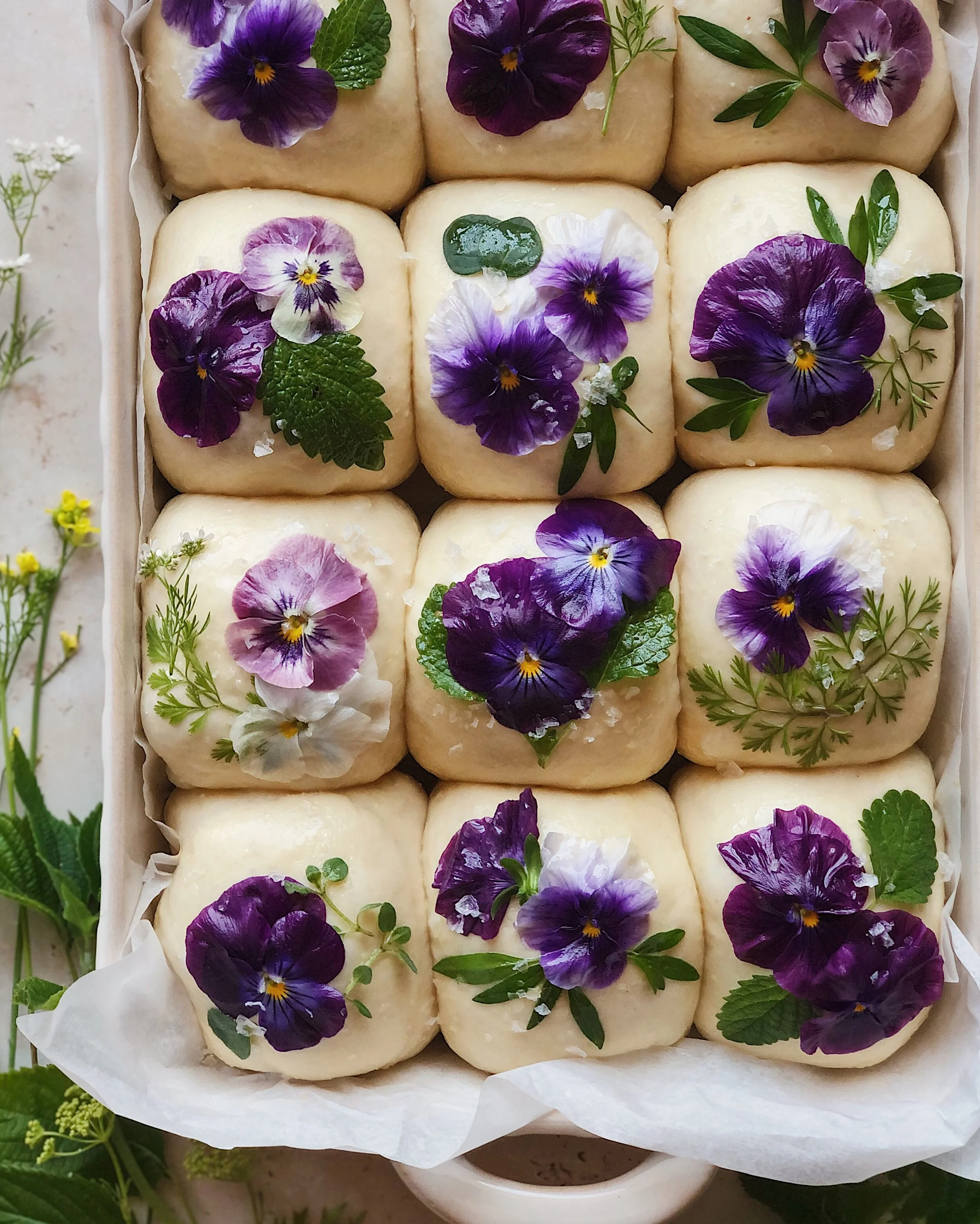 Photography — Lily Morello