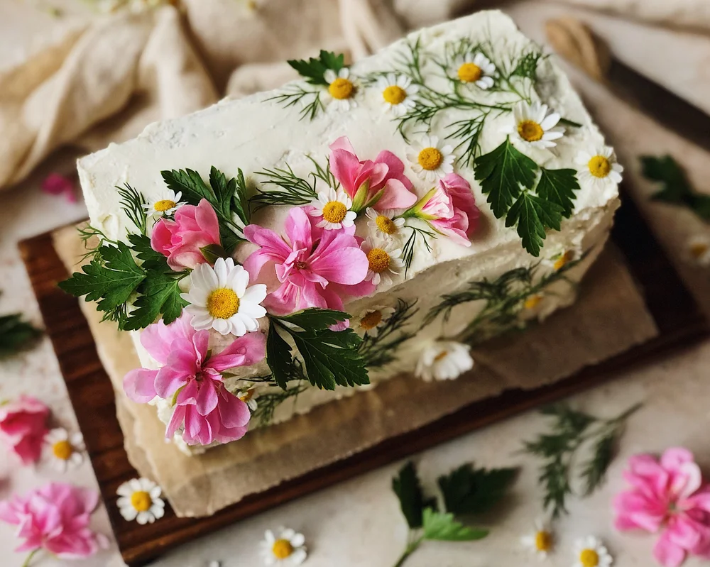 A Blog by LilyBubbleTea — Lily Morello