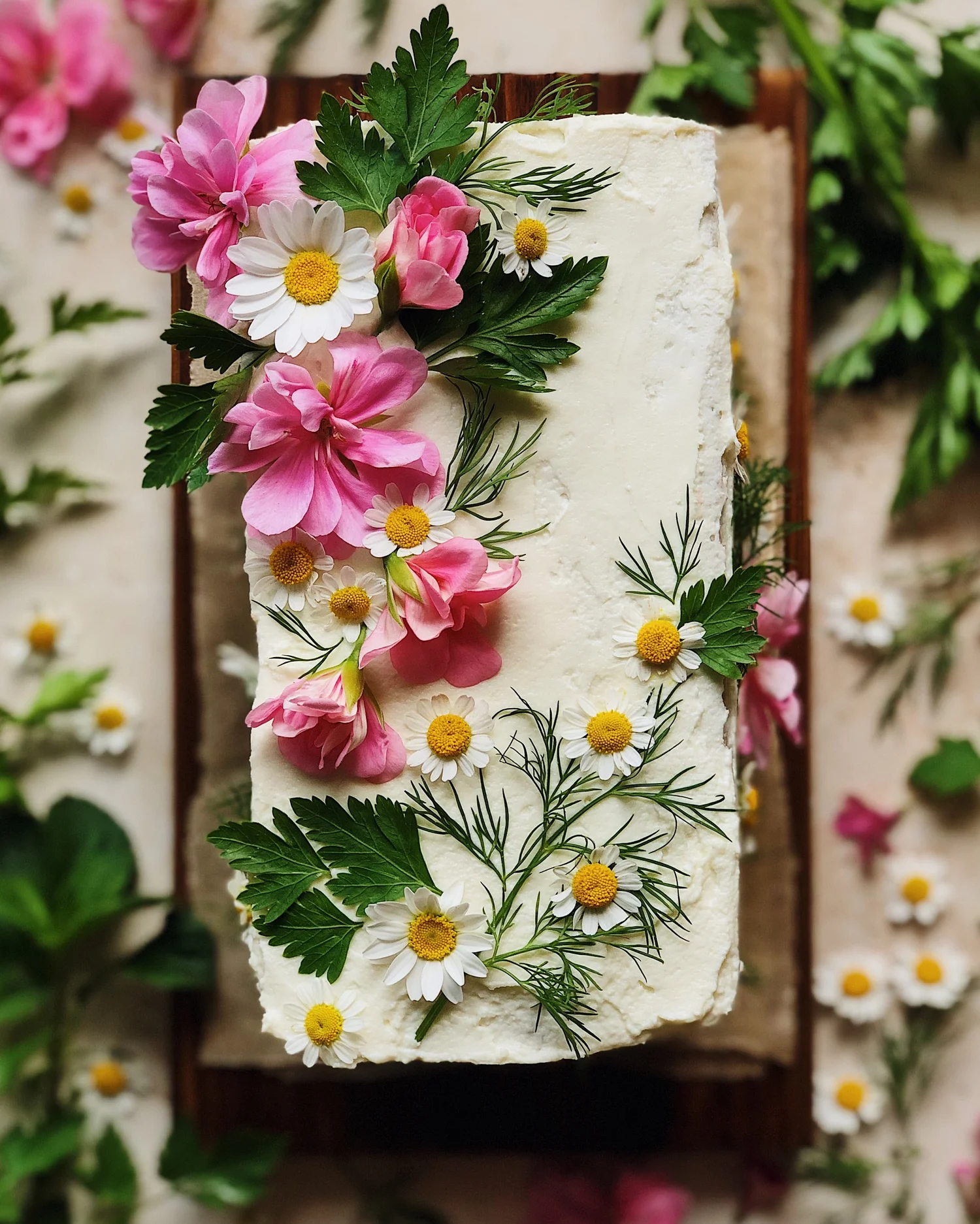 A Blog by LilyBubbleTea — Lily Morello