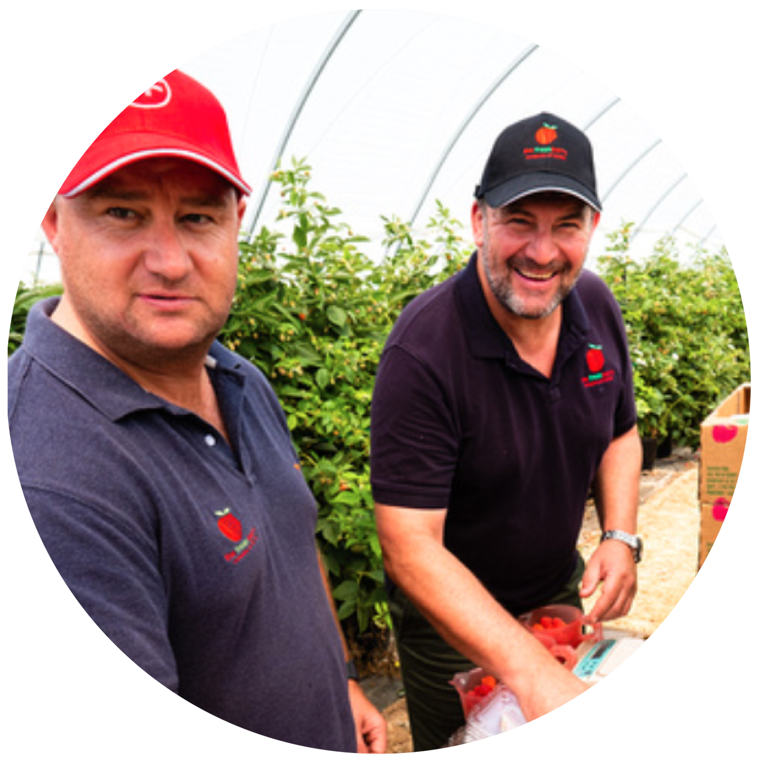 Our Story — The Fresh Berry Company