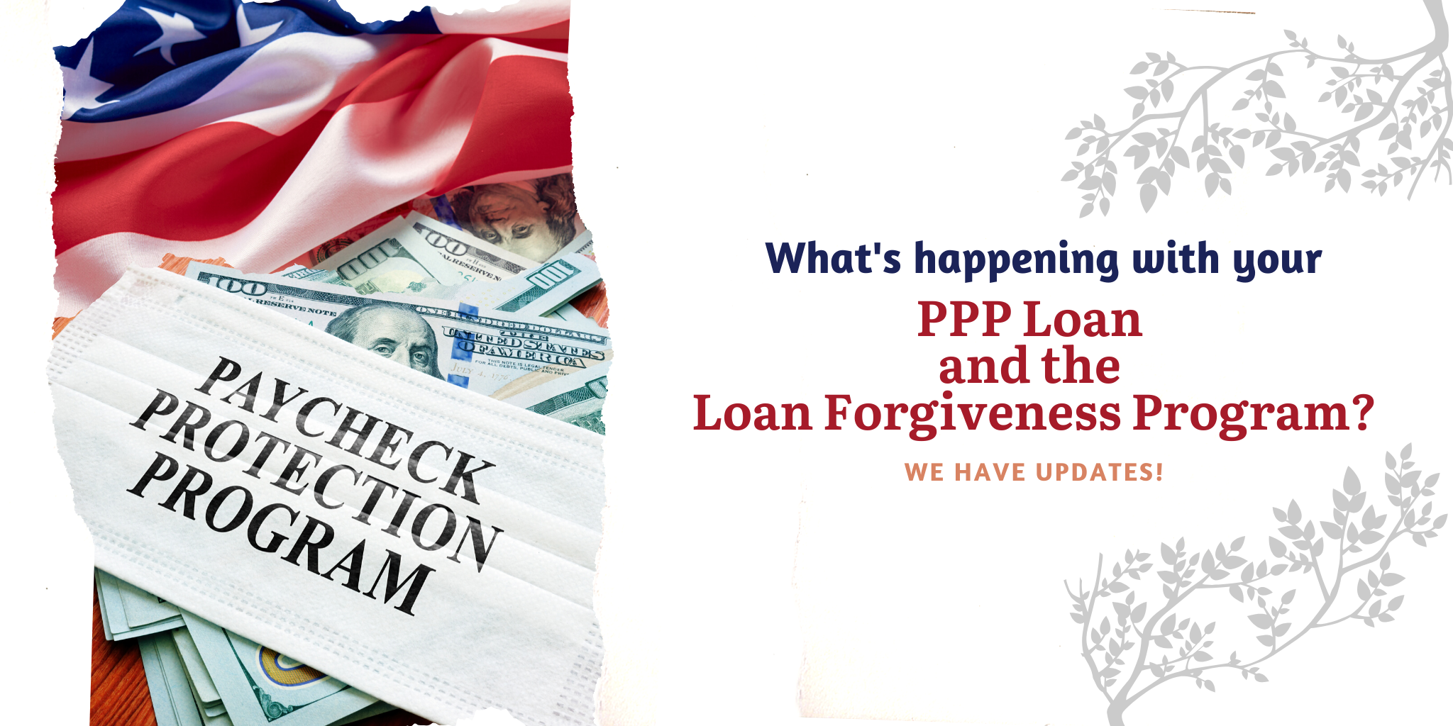 What's Happening with Your PPP Loan and the Loan Forgiveness Program ...