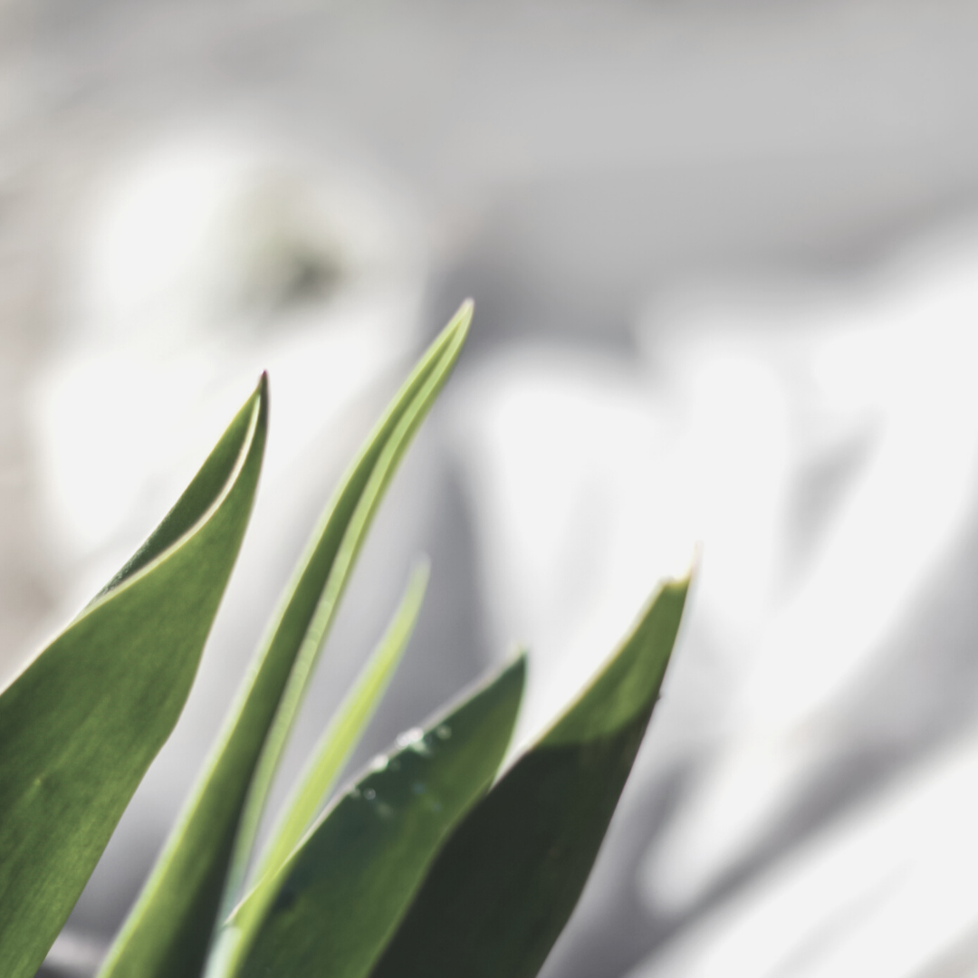 Alchemy Wellness - Ketamine Infusion Therapy in Richmond, VA