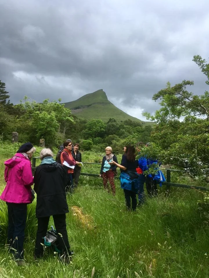 New - WILD FOOD FORAGING WALK for GROUPS — Neantog Farm