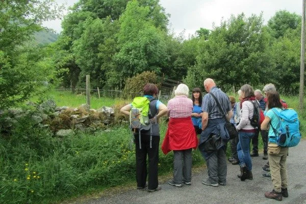 New - WILD FOOD FORAGING WALK for GROUPS — Neantog Farm