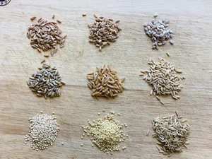 All you need to know about grains — Neantog Farm