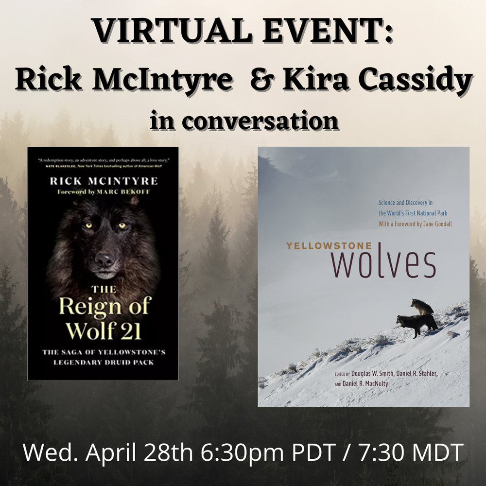 Wolves: Rick McIntyre and Kira Cassidy in conversation — Paulina ...
