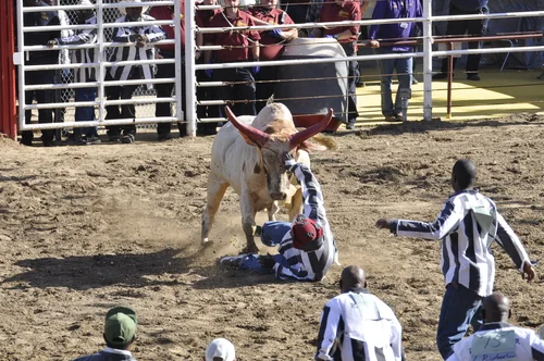 Prison Rodeo — Louisiana Prison Museum