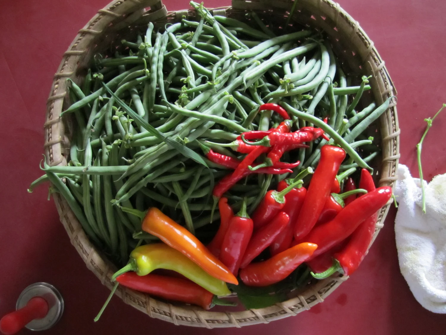 Photos and Media — Cate Farm
