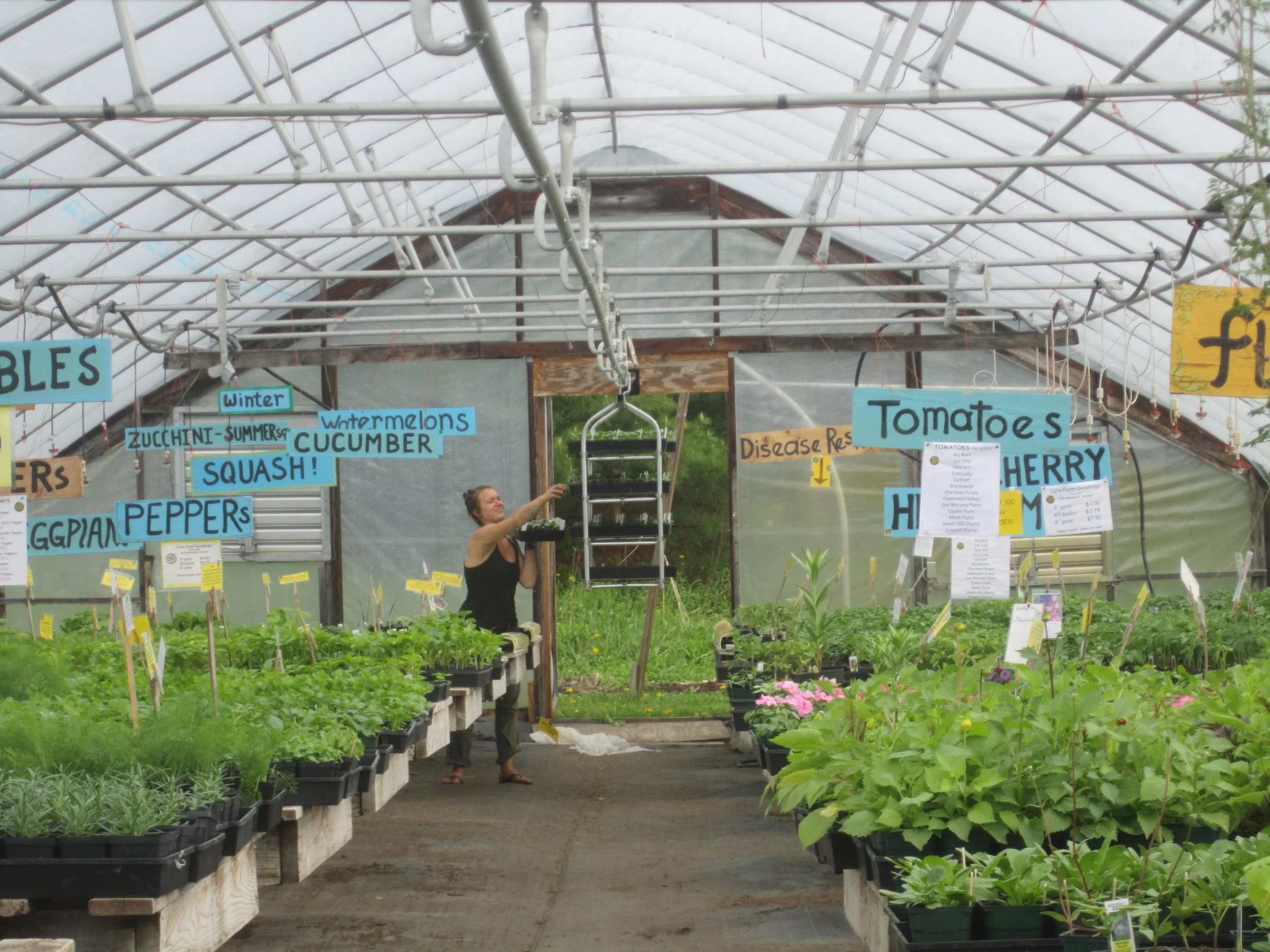 Photos and Media — Cate Farm
