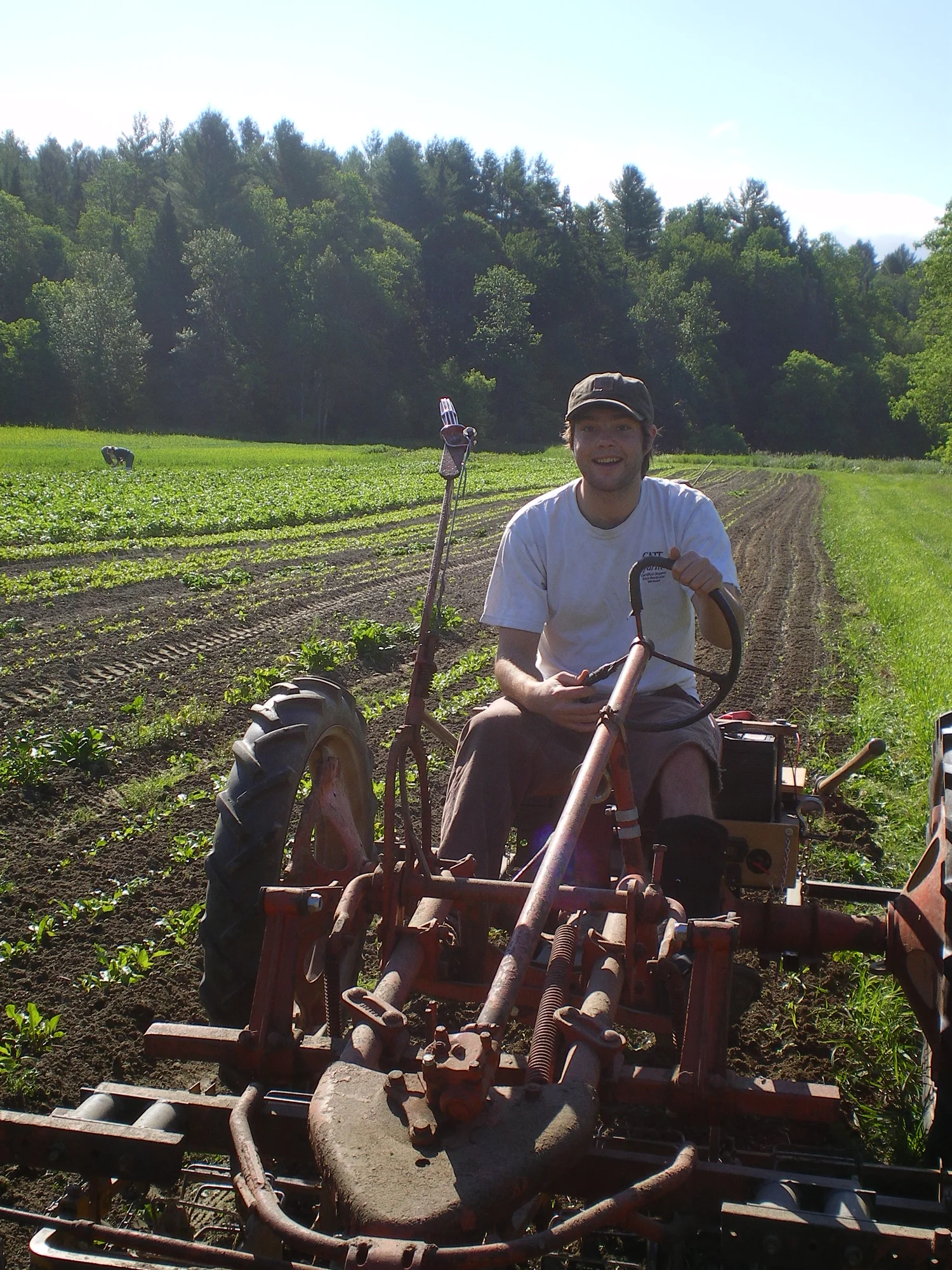 Photos and Media — Cate Farm