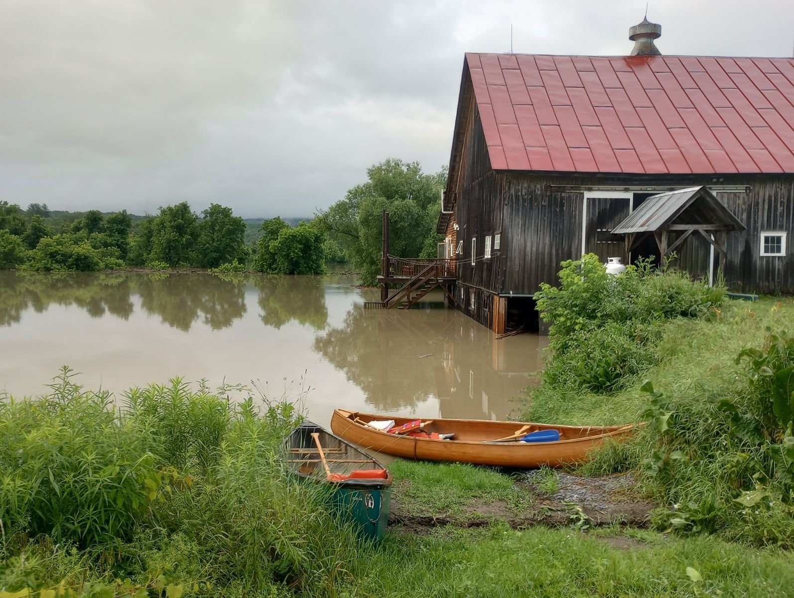 News From the Farm — Cate Farm