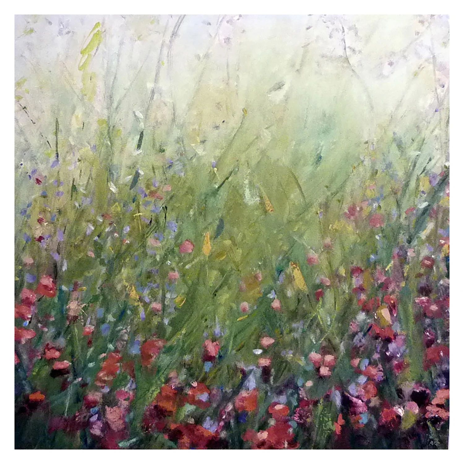 Browse My Portfolio — Barbara J Hart