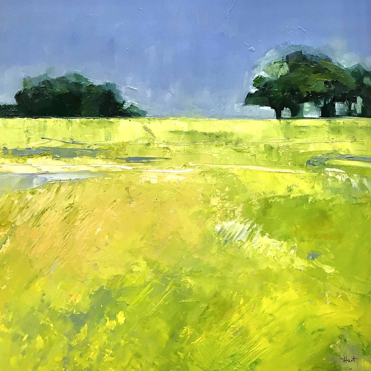 Browse My Portfolio — Barbara J Hart