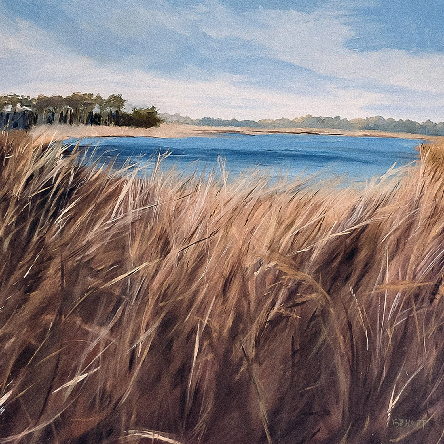 Browse My Portfolio — Barbara J Hart