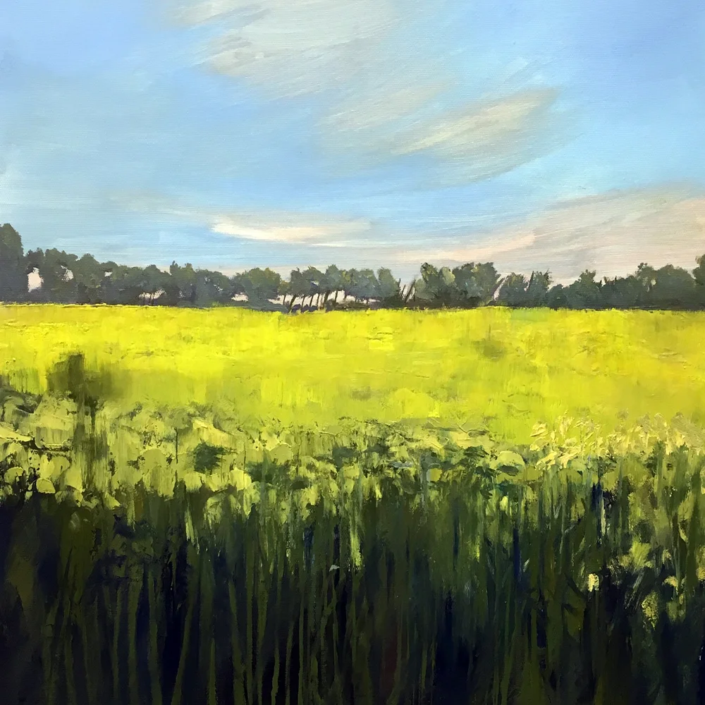 Browse My Portfolio — Barbara J Hart
