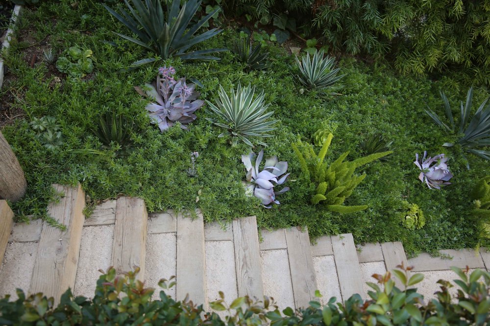 Oneonta — Sarita Jaccard Design