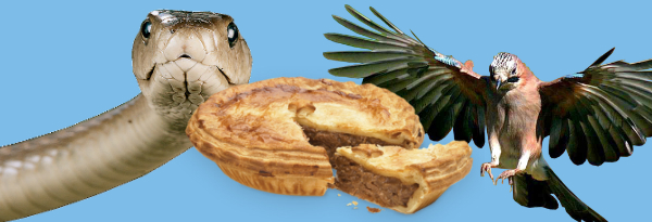 Full of Love: The world of wedding food — SECONDS | Food history