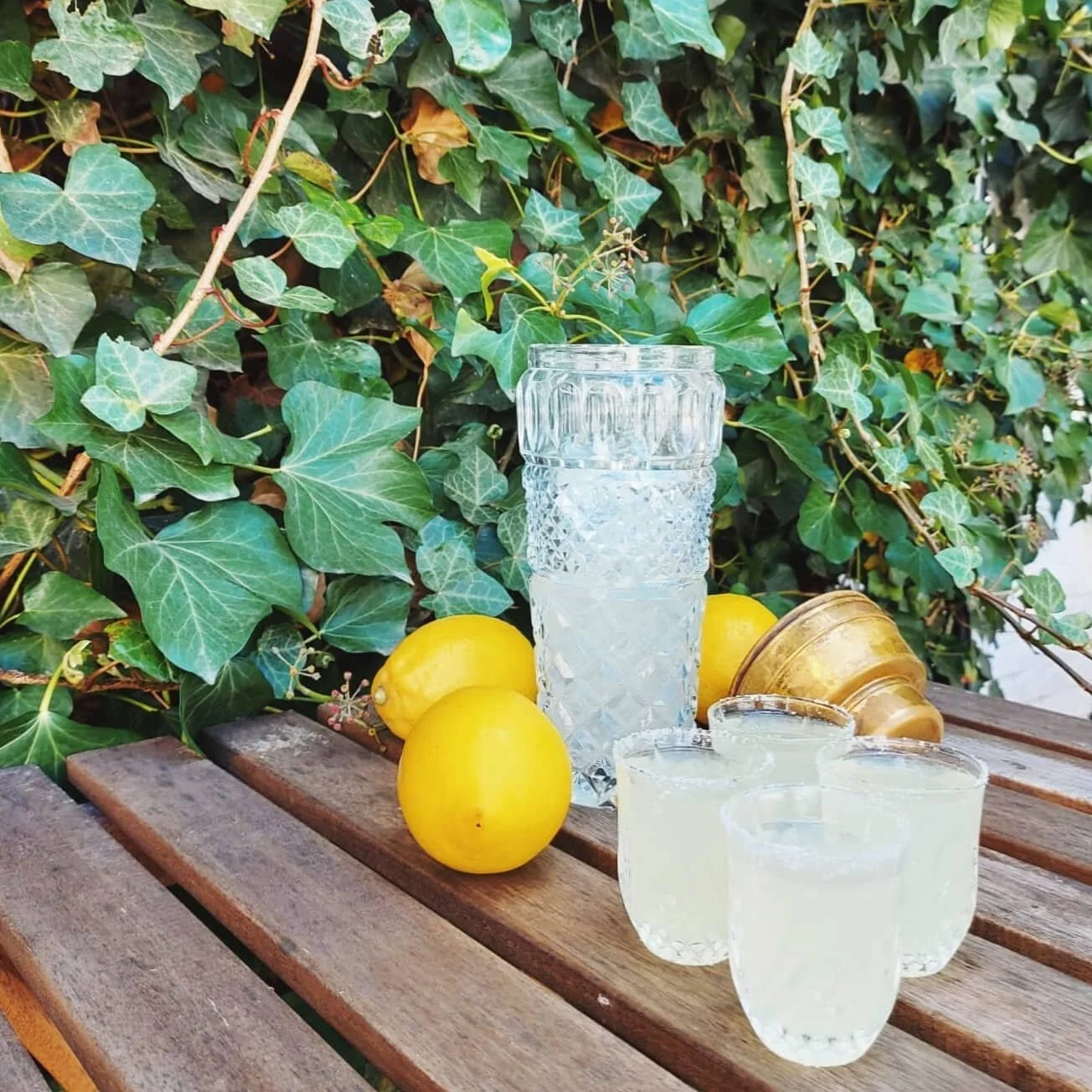 PRIMO I Volare, Cantare, Mangiare