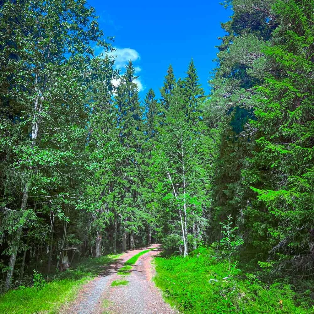 Escape the Heat with a Coolcation in Sweden — Hipster Sweden