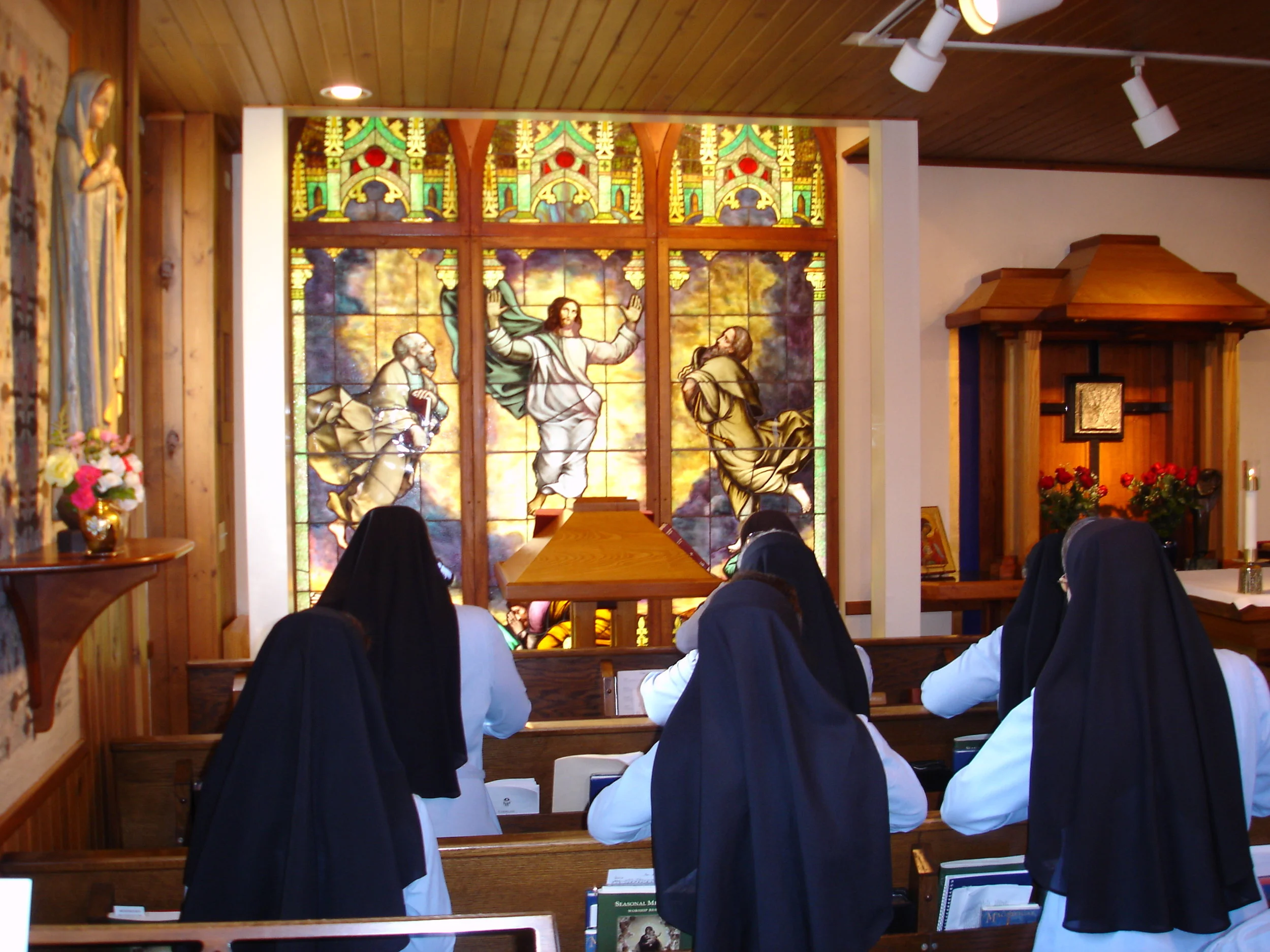Religious Sisters of Mercy of Alma, Michigan