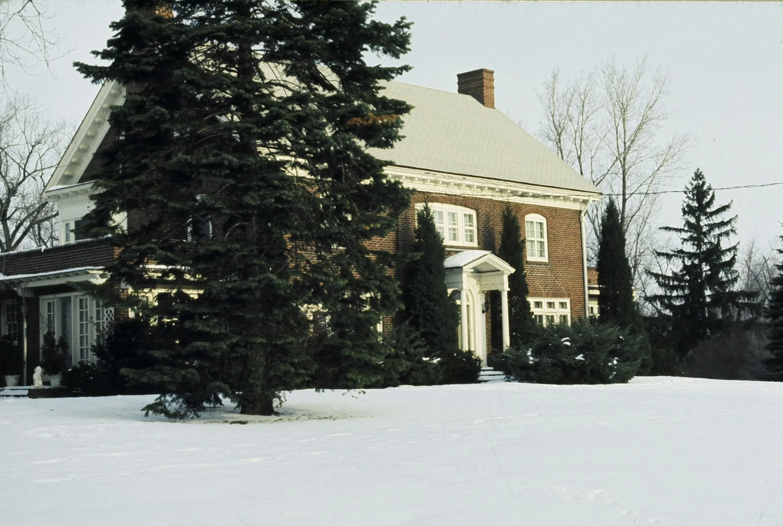 Religious Sisters of Mercy of Alma, Michigan