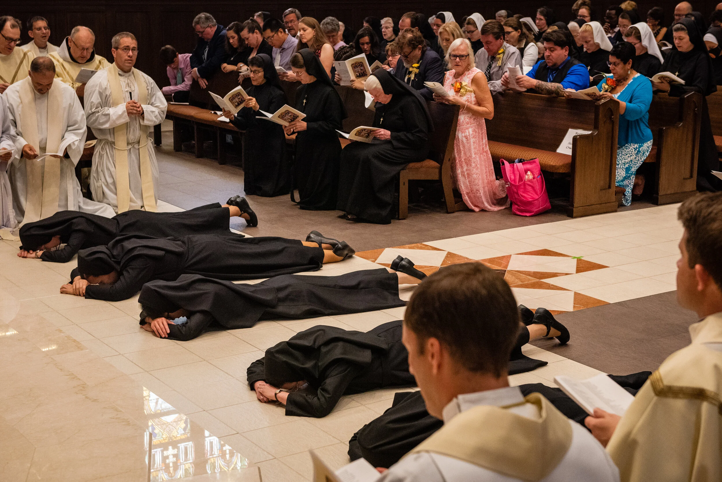Religious Sisters of Mercy of Alma, Michigan